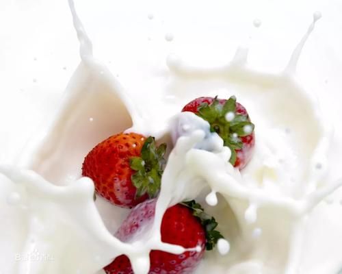 牛奶草莓是用牛奶浇出来的吗_真相揭秘-第2张图片-山城妙识 牛奶草莓是用牛奶浇出来的吗_真相揭秘-第2张图片-山城妙识
