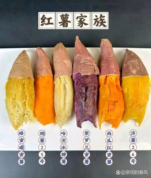 红苕是什么东西_红苕和红薯的区别-第2张图片-山城妙识 红苕是什么东西_红苕和红薯的区别-第2张图片-山城妙识