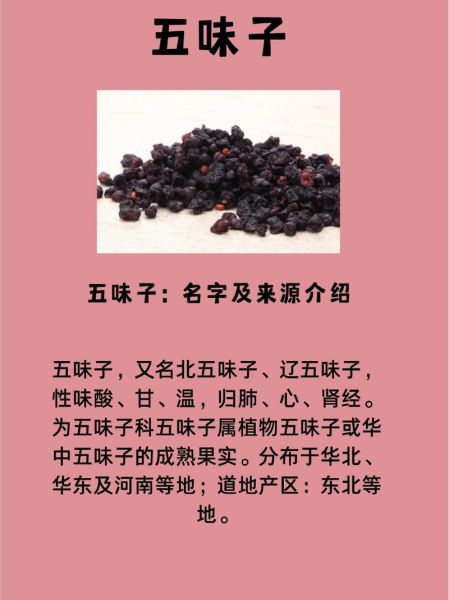 五味子有什么功效_五味子怎么吃效果最好-第1张图片-山城妙识 五味子有什么功效_五味子怎么吃效果最好-第1张图片-山城妙识
