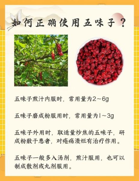 五味子有什么功效_五味子怎么吃效果最好-第2张图片-山城妙识 五味子有什么功效_五味子怎么吃效果最好-第2张图片-山城妙识