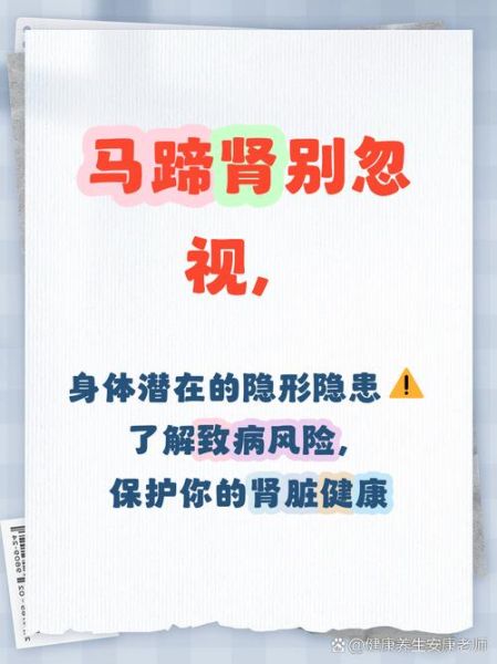 马蹄肾是什么_马蹄肾有什么症状-第3张图片-山城妙识 马蹄肾是什么_马蹄肾有什么症状-第3张图片-山城妙识