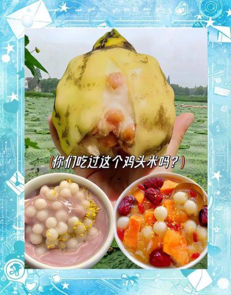 苏州鸡头米多少钱一斤_鸡头米怎么吃最好-第2张图片-山城妙识