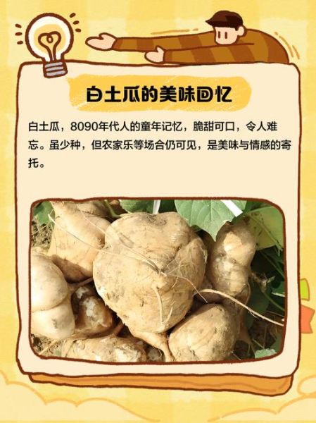 白瓜怎么吃_白瓜的功效与作用-第3张图片-山城妙识 白瓜怎么吃_白瓜的功效与作用-第3张图片-山城妙识