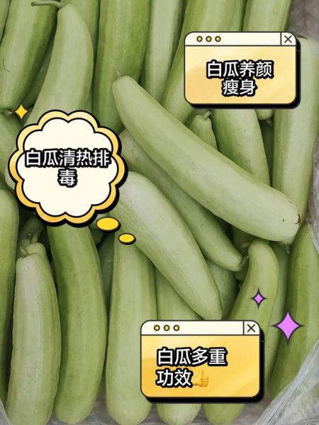 白瓜怎么吃_白瓜的功效与作用-第1张图片-山城妙识 白瓜怎么吃_白瓜的功效与作用-第1张图片-山城妙识