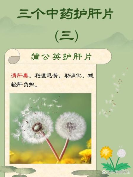 养肝护肝最有效的中药_什么中药养肝护肝最好-第2张图片-山城妙识 养肝护肝最有效的中药_什么中药养肝护肝最好-第2张图片-山城妙识