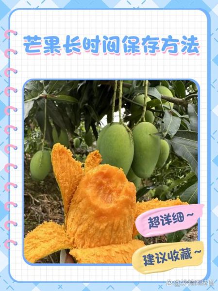 芒果怎么催熟_芒果怎么保存-第2张图片-山城妙识 芒果怎么催熟_芒果怎么保存-第2张图片-山城妙识
