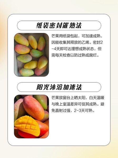 芒果怎么催熟_芒果怎么保存-第3张图片-山城妙识 芒果怎么催熟_芒果怎么保存-第3张图片-山城妙识