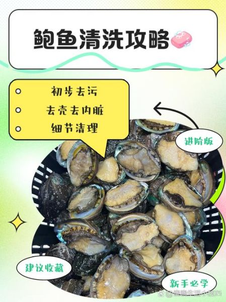 鲍鱼怎么处理清洗内脏_鲍鱼内脏去除方法-第1张图片-山城妙识 鲍鱼怎么处理清洗内脏_鲍鱼内脏去除方法-第1张图片-山城妙识