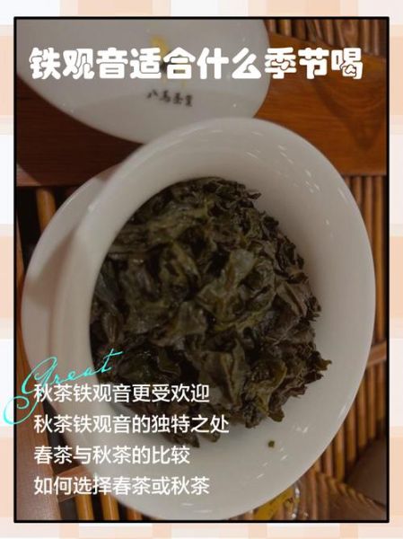 铁观音适合什么季节喝_铁观音什么季节喝最好-第2张图片-山城妙识 铁观音适合什么季节喝_铁观音什么季节喝最好-第2张图片-山城妙识