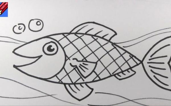 鱼图片大全大图简笔画_怎么画好看-第3张图片-山城妙识