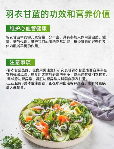 小甘蓝菜怎么做好吃_小甘蓝菜营养价值-第1张图片-山城妙识 小甘蓝菜怎么做好吃_小甘蓝菜营养价值-第1张图片-山城妙识