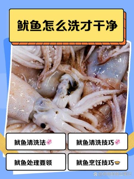 整条鱿鱼怎么处理_鱿鱼内脏怎么清理-第1张图片-山城妙识