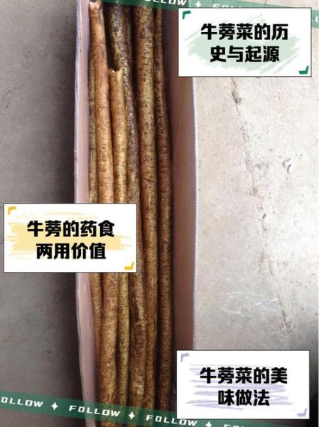 新鲜牛蒡怎么吃_一次吃多少克-第2张图片-山城妙识