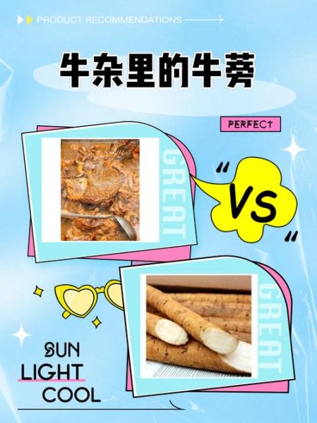 新鲜牛蒡怎么吃_一次吃多少克-第3张图片-山城妙识