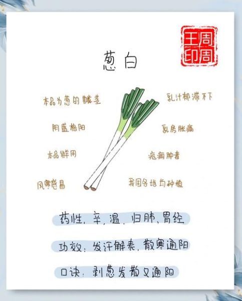 葱白煮水治感冒吗_哪些人不能吃葱白-第1张图片-山城妙识