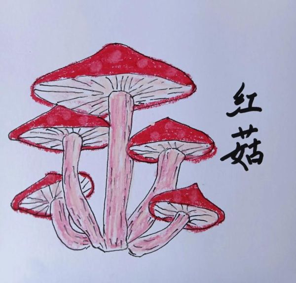 蘑菇简笔画怎么画_蘑菇图片简笔画步骤-第3张图片-山城妙识 蘑菇简笔画怎么画_蘑菇图片简笔画步骤-第3张图片-山城妙识