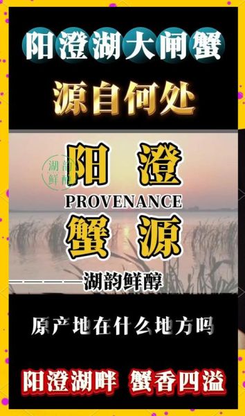 大闸蟹有哪些品牌_阳澄湖大闸蟹哪家好-第3张图片-山城妙识