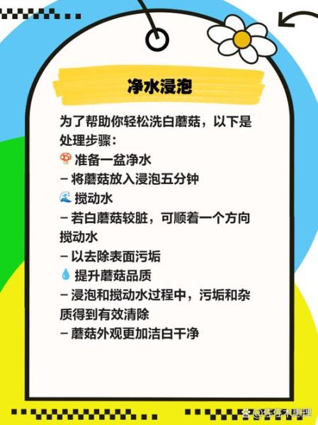 蘑菇焯水需要多长时间_蘑菇焯水多久才安全-第1张图片-山城妙识 蘑菇焯水需要多长时间_蘑菇焯水多久才安全-第1张图片-山城妙识