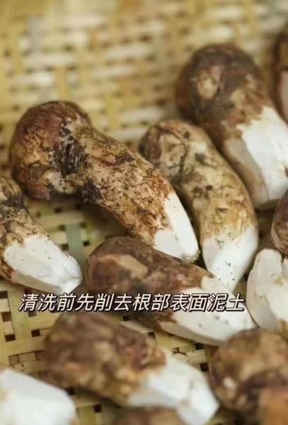 蘑菇焯水需要多长时间_蘑菇焯水多久才安全-第2张图片-山城妙识 蘑菇焯水需要多长时间_蘑菇焯水多久才安全-第2张图片-山城妙识