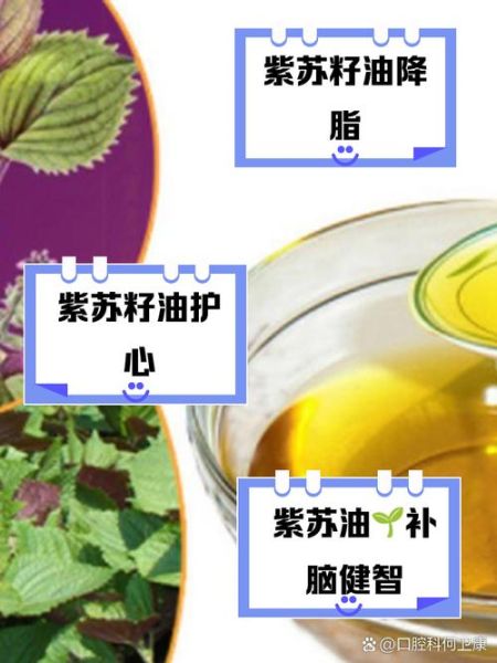 苏子油的功效与作用_苏子油怎么吃效果最好-第1张图片-山城妙识 苏子油的功效与作用_苏子油怎么吃效果最好-第1张图片-山城妙识