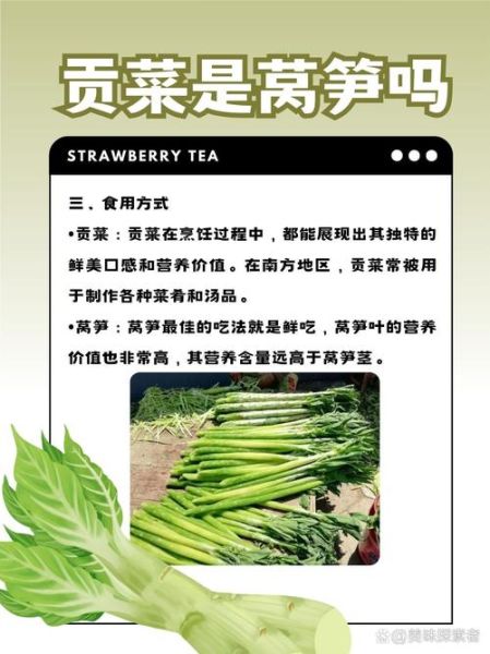 贡菜新鲜的长什么样子_贡菜和莴笋怎么区分-第2张图片-山城妙识 贡菜新鲜的长什么样子_贡菜和莴笋怎么区分-第2张图片-山城妙识