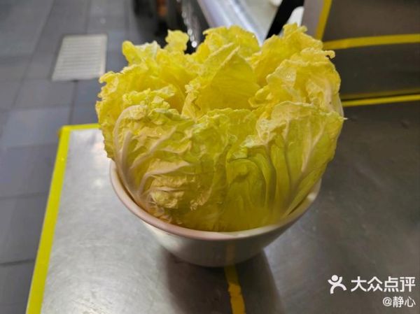 娃娃菜什么时候种_娃娃菜怎么种-第3张图片-山城妙识 娃娃菜什么时候种_娃娃菜怎么种-第3张图片-山城妙识