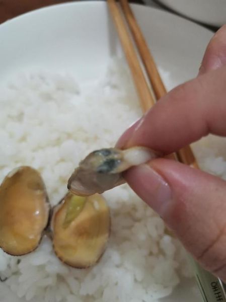 花甲哪里不能吃_花甲内脏怎么处理-第3张图片-山城妙识 花甲哪里不能吃_花甲内脏怎么处理-第3张图片-山城妙识