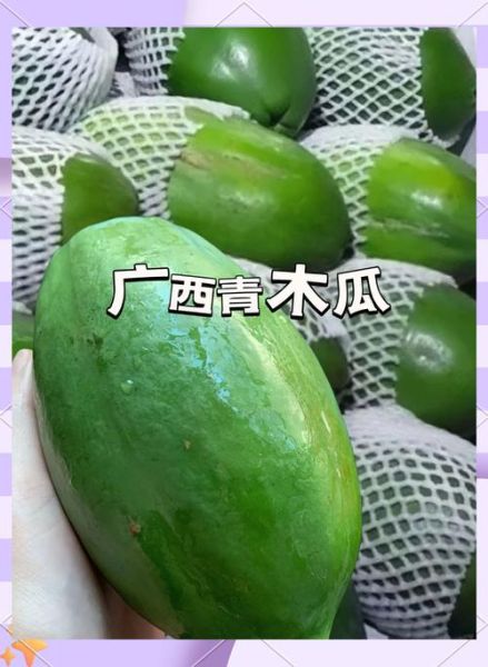 青木瓜图片大全_青木瓜怎么吃才好吃-第2张图片-山城妙识 青木瓜图片大全_青木瓜怎么吃才好吃-第2张图片-山城妙识