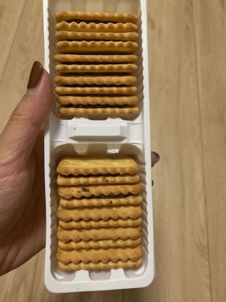 巧克力饼干哪个牌子好吃_巧克力饼干热量高吗-第1张图片-山城妙识