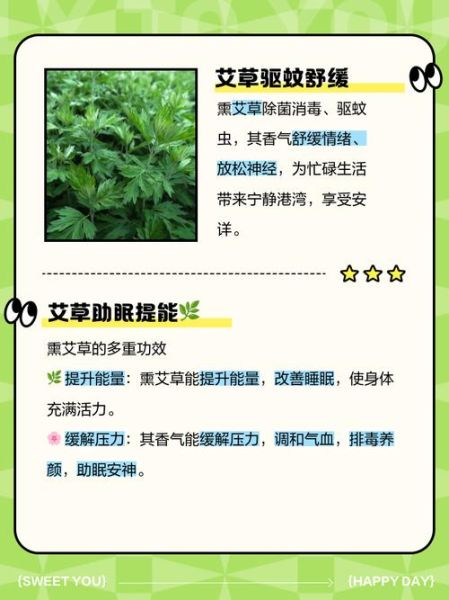 艾草点燃的功效与作用_艾草熏房间的正确方法-第3张图片-山城妙识 艾草点燃的功效与作用_艾草熏房间的正确方法-第3张图片-山城妙识