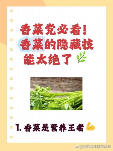 香菜的功效与作用及禁忌症_什么人不能吃香菜-第3张图片-山城妙识 香菜的功效与作用及禁忌症_什么人不能吃香菜-第3张图片-山城妙识