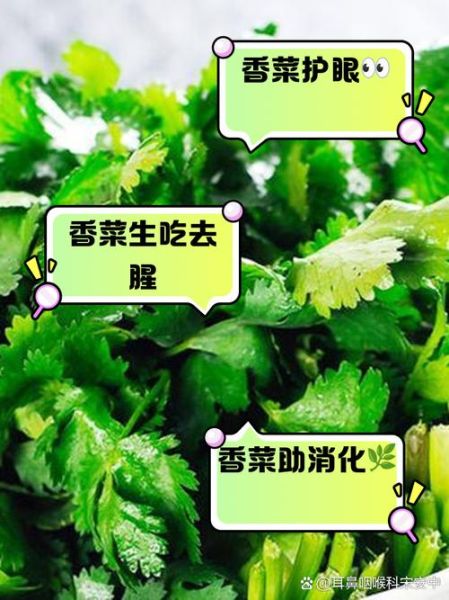 香菜的功效与作用及禁忌症_什么人不能吃香菜-第2张图片-山城妙识 香菜的功效与作用及禁忌症_什么人不能吃香菜-第2张图片-山城妙识