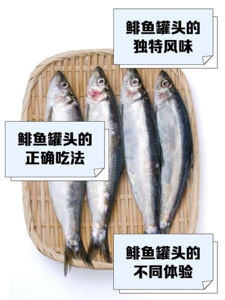 鲱鱼罐头怎么吃_鲱鱼罐头怎么打开不臭-第1张图片-山城妙识 鲱鱼罐头怎么吃_鲱鱼罐头怎么打开不臭-第1张图片-山城妙识