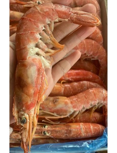 阿根廷红虾怎么去虾线_阿根廷红虾虾线清理方法-第2张图片-山城妙识