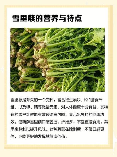 雪里蕻的营养价值_雪里蕻的功效与作用-第2张图片-山城妙识 雪里蕻的营养价值_雪里蕻的功效与作用-第2张图片-山城妙识