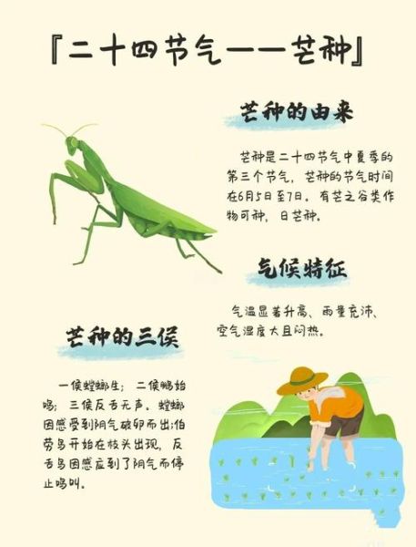 芒种是几月几日_芒种节气含义-第1张图片-山城妙识 芒种是几月几日_芒种节气含义-第1张图片-山城妙识