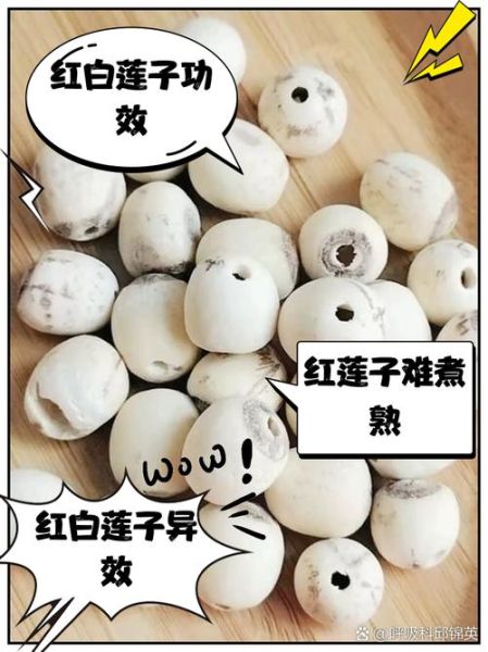 红莲子好还是白莲子好_哪个更营养-第1张图片-山城妙识 红莲子好还是白莲子好_哪个更营养-第1张图片-山城妙识