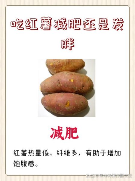 红薯减肥法怎么吃_红薯减肥真的有用吗-第3张图片-山城妙识 红薯减肥法怎么吃_红薯减肥真的有用吗-第3张图片-山城妙识