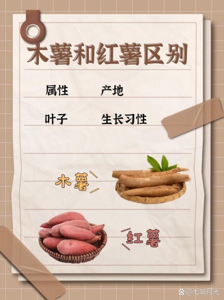红薯和地瓜一样吗_红薯与地瓜的区别-第1张图片-山城妙识 红薯和地瓜一样吗_红薯与地瓜的区别-第1张图片-山城妙识