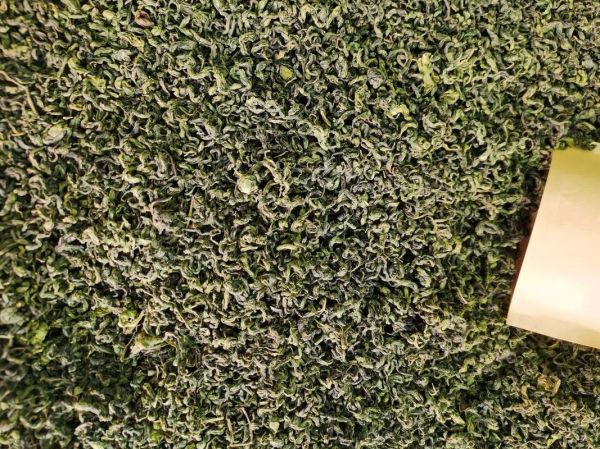 刺五加茶副作用有哪些_长期喝刺五加茶安全吗-第2张图片-山城妙识