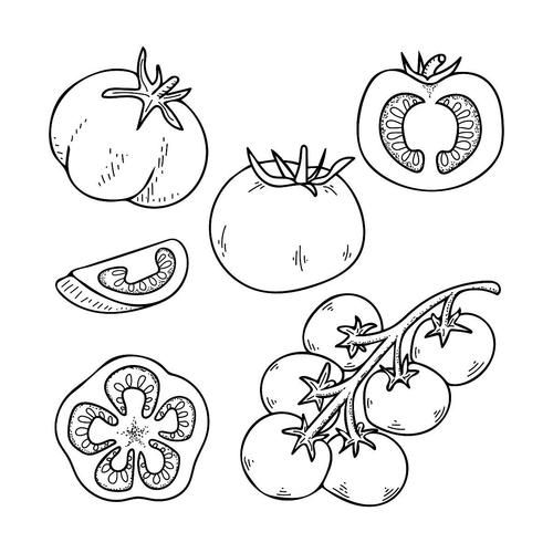 西红柿简笔画怎么画_西红柿图片简笔画教程-第1张图片-山城妙识