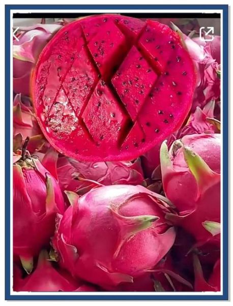 蜜宝火龙果的营养价值_糖尿病人能吃吗-第2张图片-山城妙识 蜜宝火龙果的营养价值_糖尿病人能吃吗-第2张图片-山城妙识