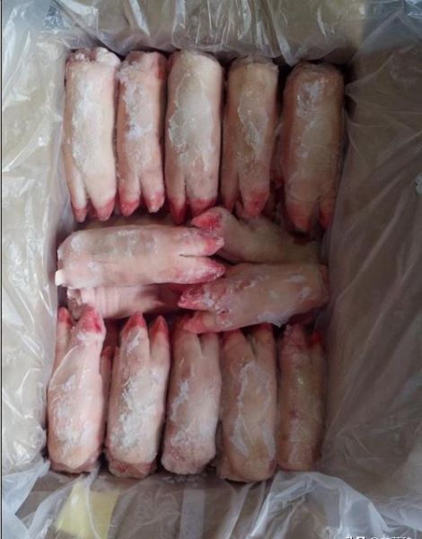 批发冷冻猪蹄9元一公斤靠谱吗_哪里能买到-第3张图片-山城妙识 批发冷冻猪蹄9元一公斤靠谱吗_哪里能买到-第3张图片-山城妙识