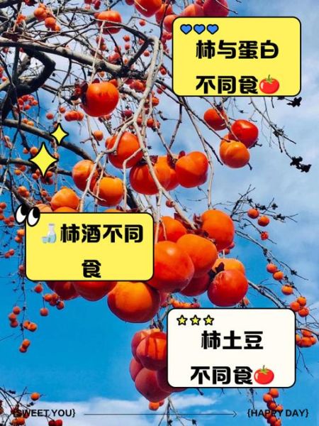 冻柿子不能和什么一起吃_吃完多久能喝牛奶-第2张图片-山城妙识 冻柿子不能和什么一起吃_吃完多久能喝牛奶-第2张图片-山城妙识