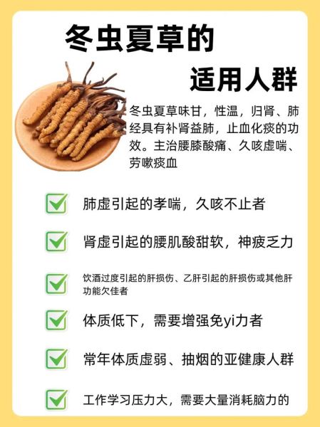吃冬虫夏草有什么功效_冬虫夏草适合什么人吃-第1张图片-山城妙识