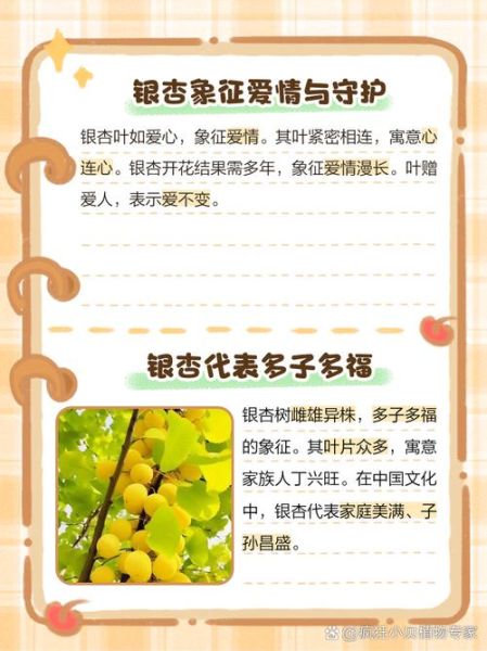 银杏叶寓意是什么_银杏叶象征爱情吗-第1张图片-山城妙识