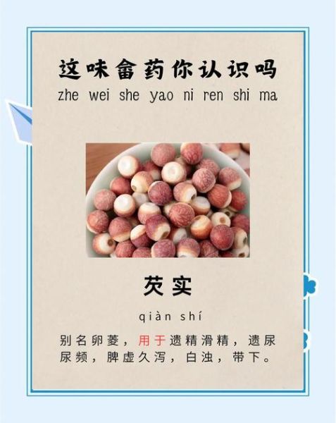 芡实怎么吃去湿_芡实去湿气的正确吃法-第3张图片-山城妙识 芡实怎么吃去湿_芡实去湿气的正确吃法-第3张图片-山城妙识