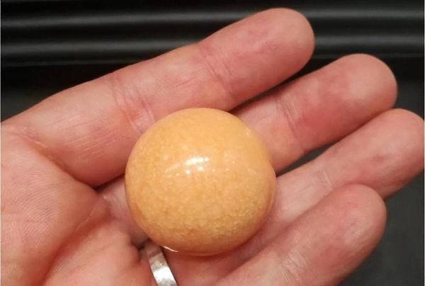 黄螺多少钱一斤_黄螺价格行情-第3张图片-山城妙识 黄螺多少钱一斤_黄螺价格行情-第3张图片-山城妙识