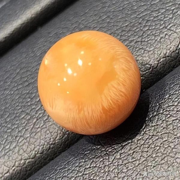 黄螺多少钱一斤_黄螺价格行情-第2张图片-山城妙识 黄螺多少钱一斤_黄螺价格行情-第2张图片-山城妙识