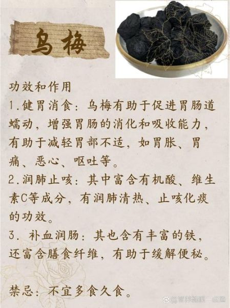 乌梅的功效与作用_乌梅怎么吃最好-第3张图片-山城妙识